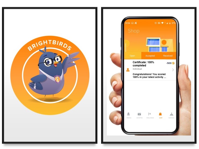 SDG Challenge with Bright Birds